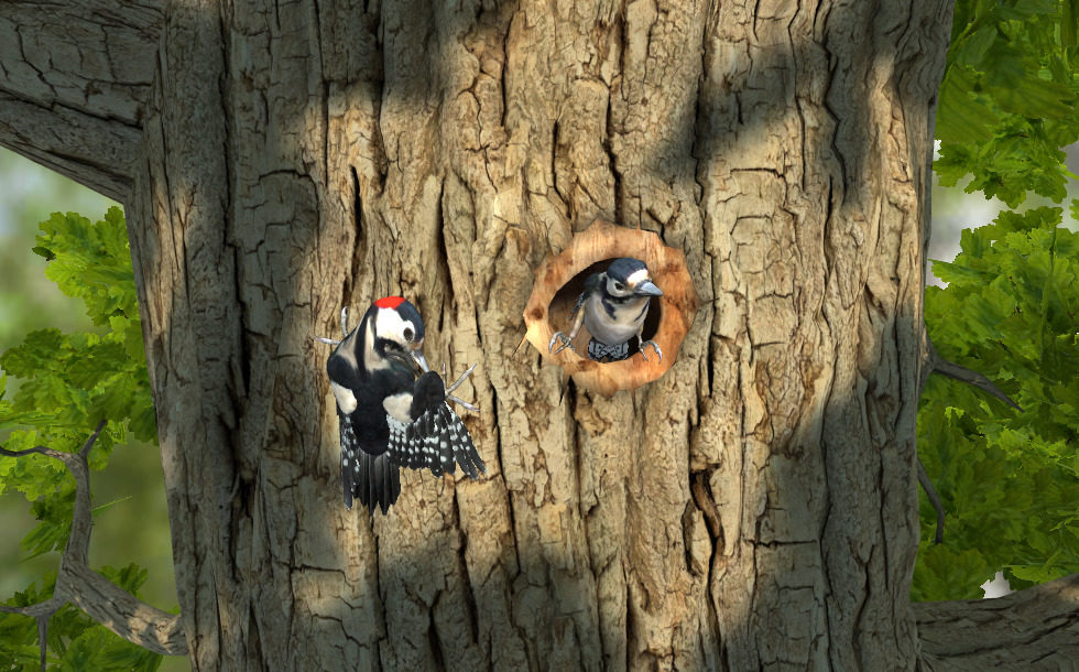 Алаг тоншуул - 3D үзэгдэл - MN Mozaik цахим боловсрол ба сургалт