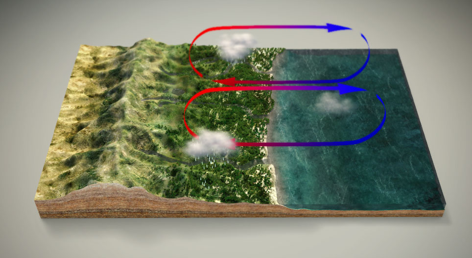 Нэвтэрхий толь бичиг - 3D үзэгдэл - MN Mozaik цахим боловсрол ба сургалт