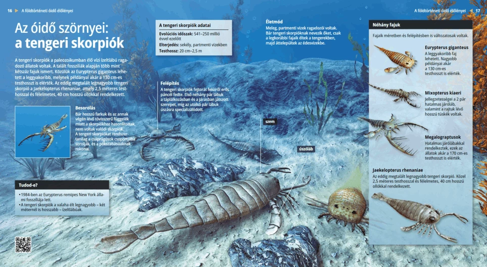MN Mozaik цахим боловсрол ба сургалт