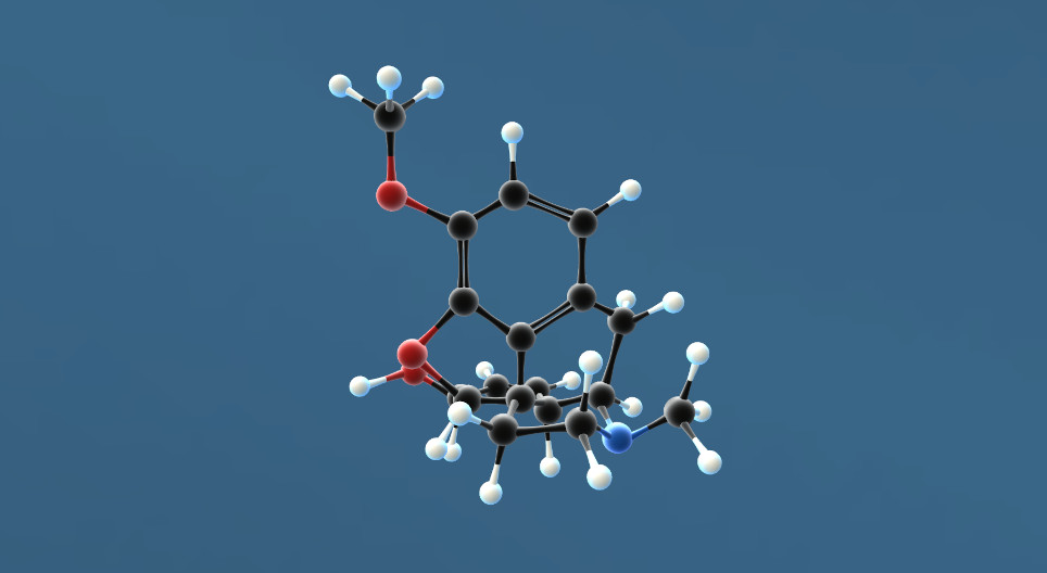 Кодейн - 3D үзэгдэл - MN Mozaik цахим боловсрол ба сургалт