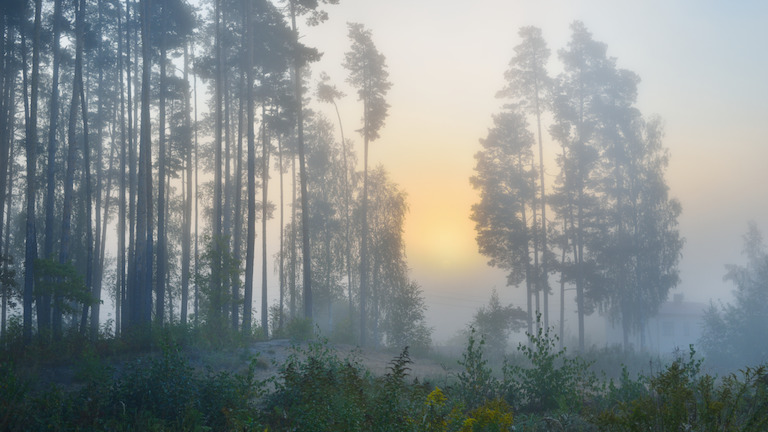The formation of fog - видео - MN Mozaik цахим боловсрол ба сургалт